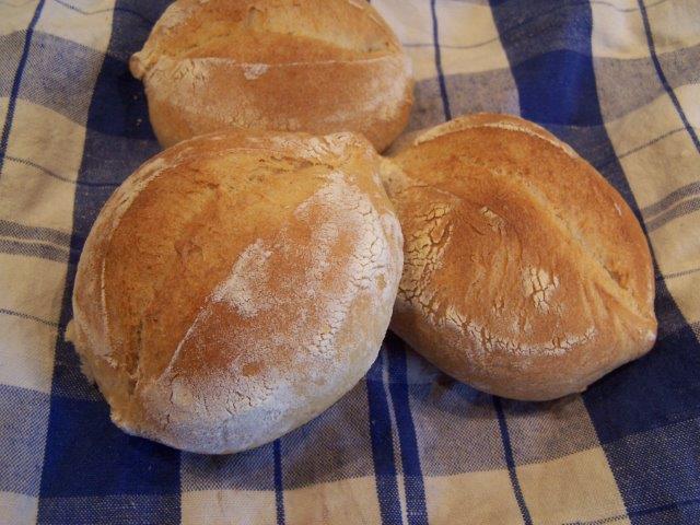 Ceriola | Hefe und mehr